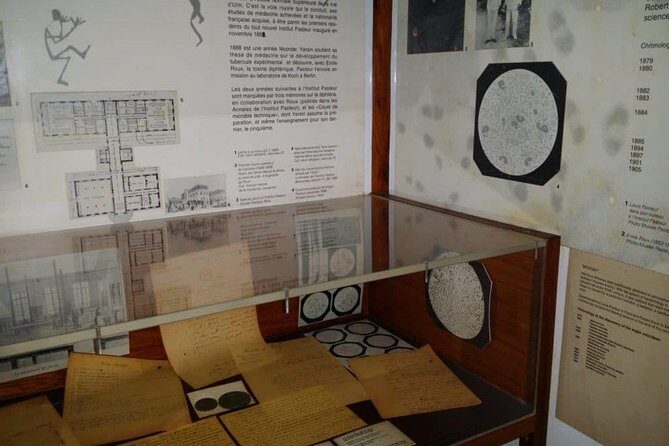 Cam Ranh Airport - Airport Transportation - Private Transfer - Authentic Experiences from Travelers