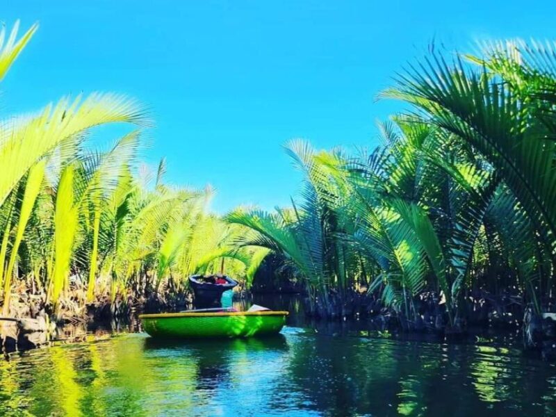 Cam Thanh Basket Boat Eco Tour - The Experience in Detail
