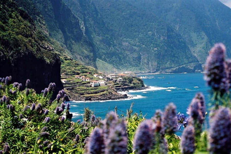Câmara de Lobos, Pico da Torre, and Porto Moniz Tour - Key Points