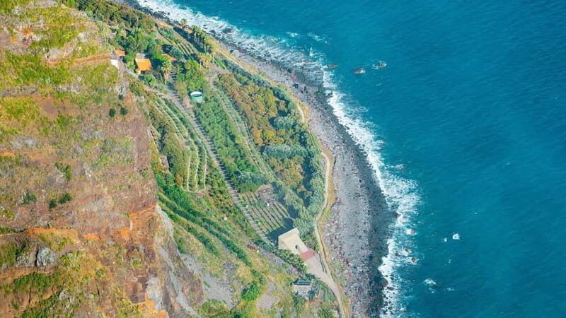 Câmara de Lobos, Pico da Torre, and Porto Moniz Tour - A Closer Look at the Experience