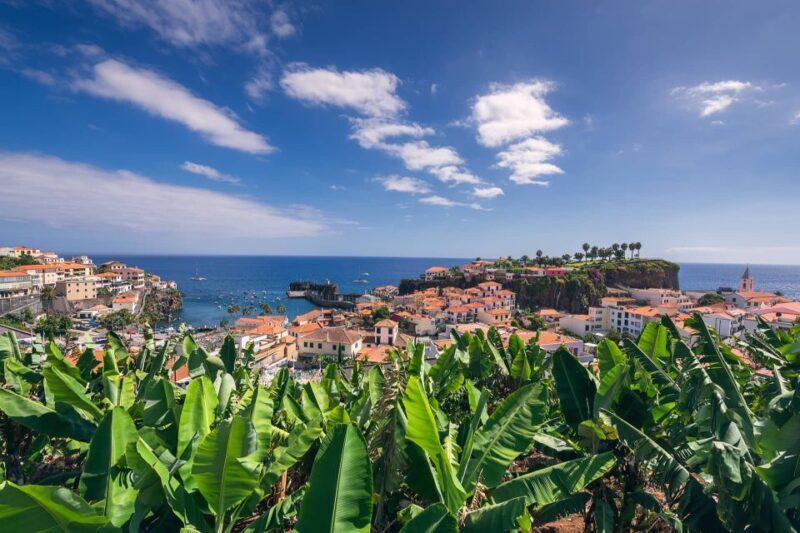 Câmara de Lobos: Private Fishing Village Tour by Tuk-Tuk - Key Points