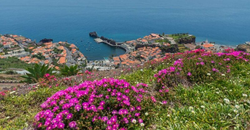 Câmara de Lobos: Private Fishing Village Tour by Tuk-Tuk - What to Expect from Your Madeira Tuk-Tuk Tour