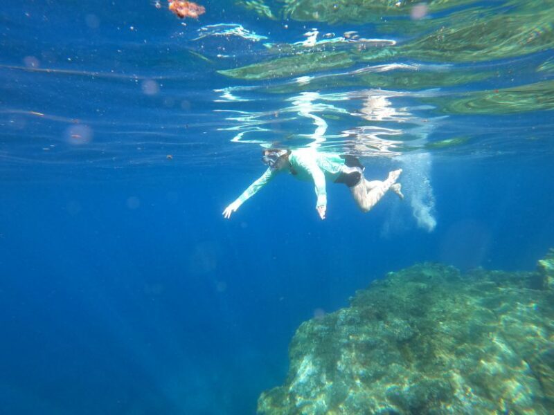 Câmara de Lobos: Private Guided Kayaking Tour in Madeira - FAQ
