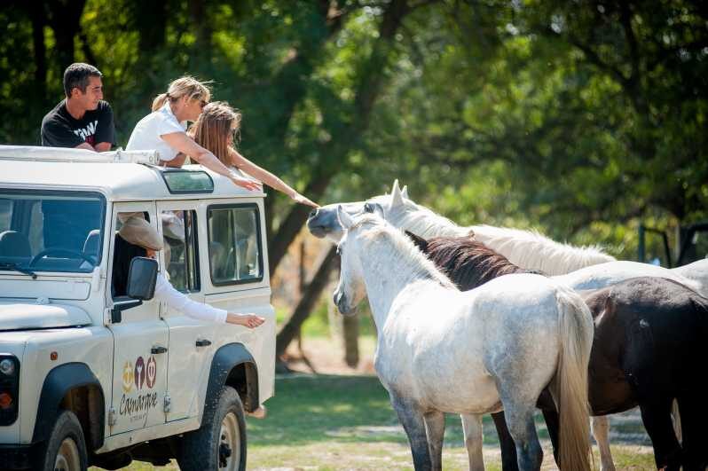 Camargue: Half-Day 4x4 Guided Safari Adventure - Final Thoughts