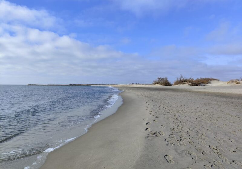 Camargue, its secrets and its magic: an exclusive tour - Evaluating the Experience: Price, Duration, and Value
