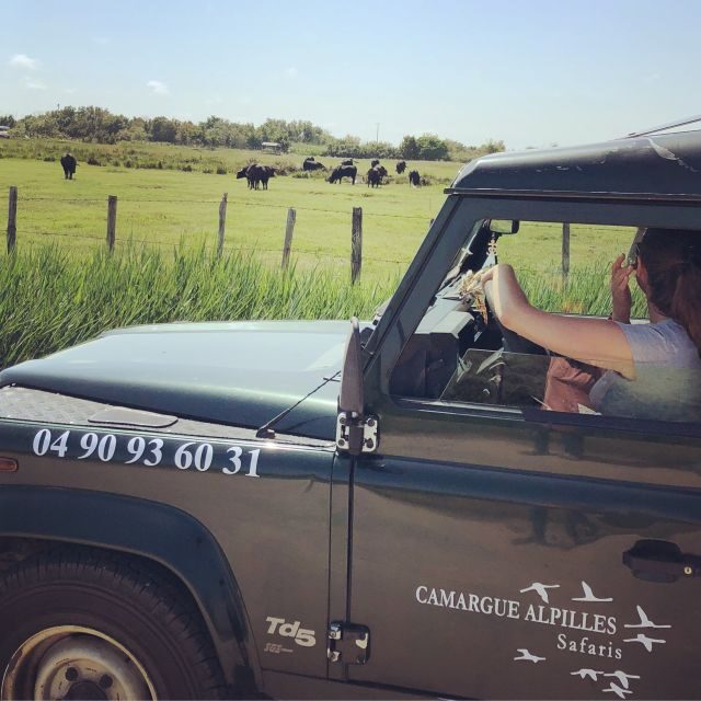Camargue: Safari from Saintes-Maries-de-la-Mer - What to Expect and What Not to Expect