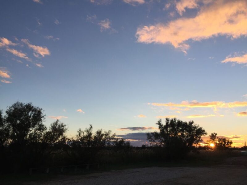 Camargue: Safari from Saintes-Maries-de-la-Mer - Authenticity and Value