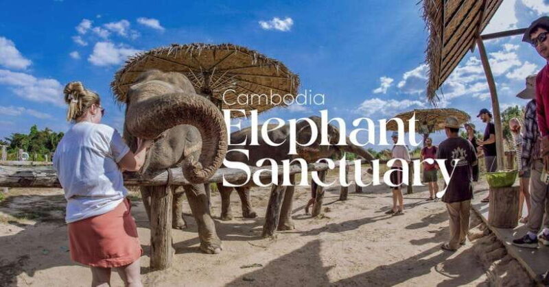 Cambodia Elephant Sanctuary and Banteay Srey Temple Tour - Key Points
