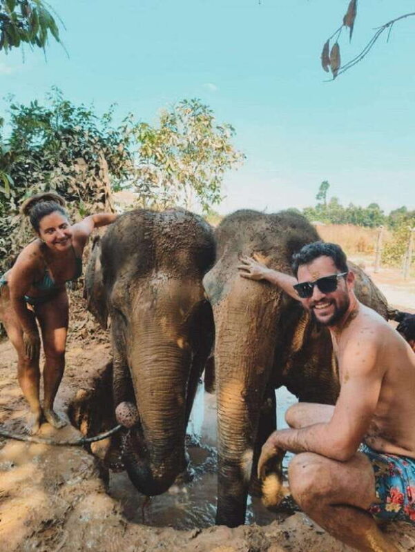 Cambodia Elephant Sanctuary and Banteay Srey Temple Tour - A Detailed Look at the Cambodia Elephant Sanctuary & Banteay Srey Experience