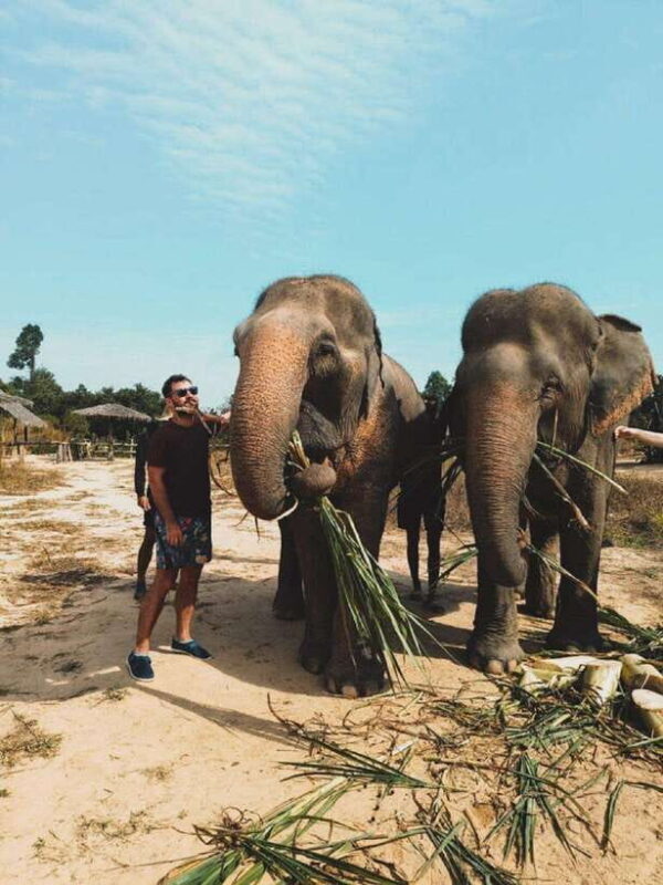 Cambodia Elephant Sanctuary and Banteay Srey Temple Tour - Final Thoughts: Who Will Benefit from This Tour?