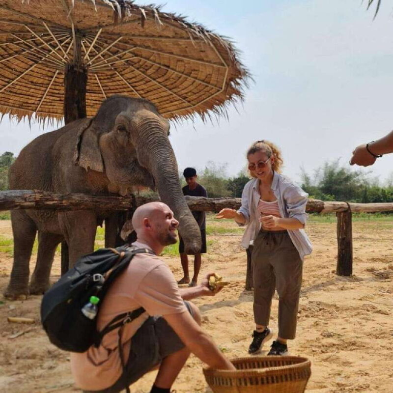 Cambodia Elephant Sanctuary and Banteay Srey Temple Tour - FAQs
