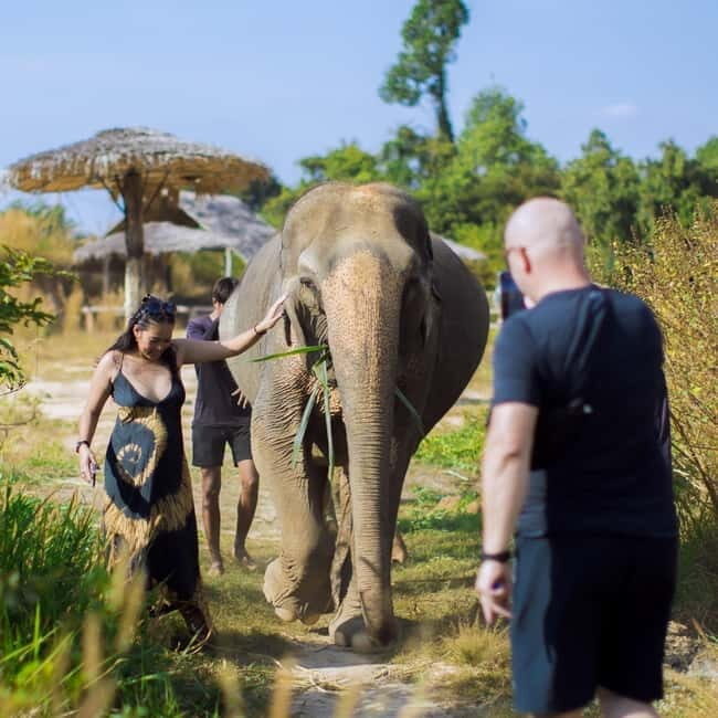 Cambodia Elephants Haft Day Experiences from Siem Reap - FAQ
