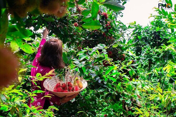 Cambodia-Viet Nam: 3 Days Mekong tour An Giang - Can Tho - HCM - Authenticity & Local Interactions