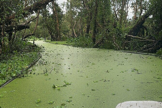 Cambodia-Viet Nam: 3 Days Mekong tour An Giang - Can Tho - HCM - FAQs