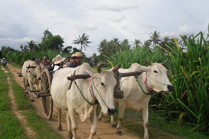 Cambodian Cooking Class and Oxcart Ride with Local Village Tour - An In-Depth Look at the Experience