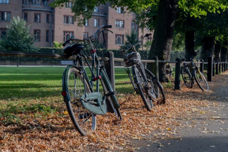 Cambridge: Alumni-Led Walking Tour w/ King's College Option - Key Points