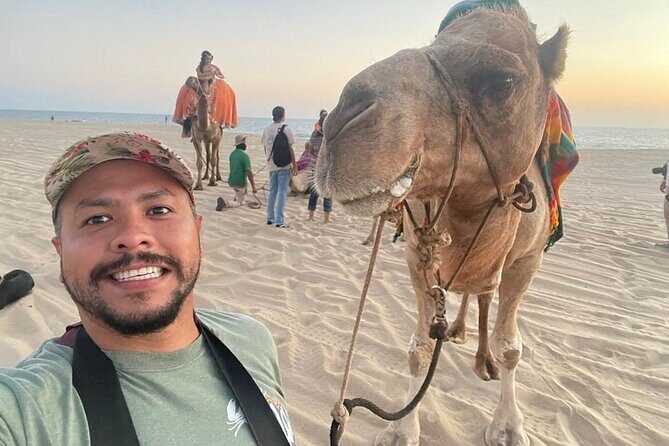 Camel Beach Ride Adventure in Los Cabos with Tequila Tasting - Discovering the Camel Beach Ride Adventure in Los Cabos with Tequila Tasting