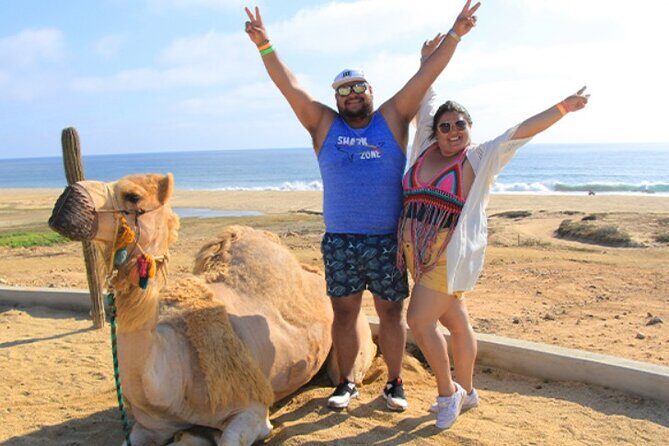 Camel Beach Ride Adventure in Los Cabos with Tequila Tasting - Key Points