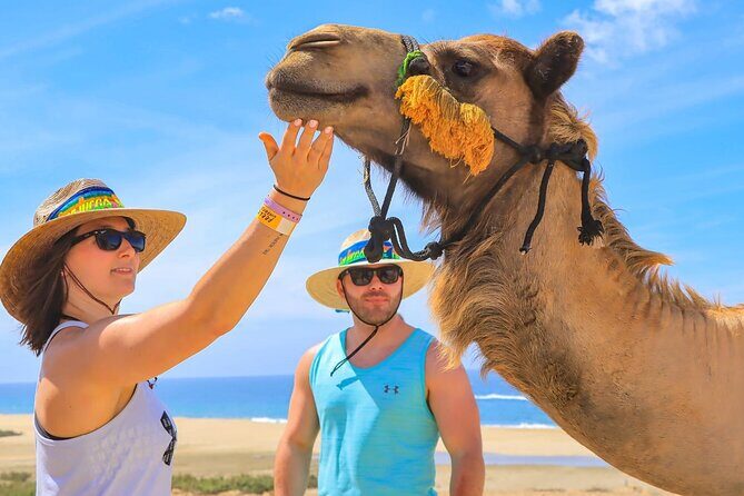 Camel Ride Adventure in Los Cabos Beach Safari & Tequila Tasting - Exploring the Ranch and Local Environment