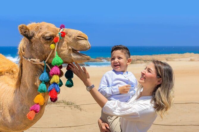 Camel Ride Adventure in Los Cabos Beach Safari & Tequila Tasting - Final Thoughts: Who Is This Tour Best For?
