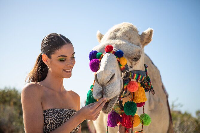 Camel Ride and Tequila Tasting Adventure in Los Cabos - What the Reviews Say