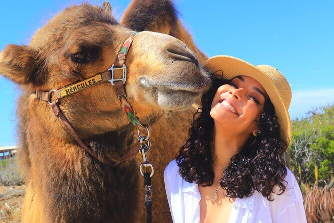 Camel Ride and UTV Combo Adventure, with Tequila Tasting - A Detailed Look at the Experience