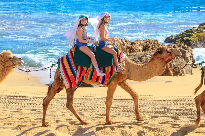 Camel Ride and UTV Combo Adventure, with Tequila Tasting - Who Should Consider This Tour?