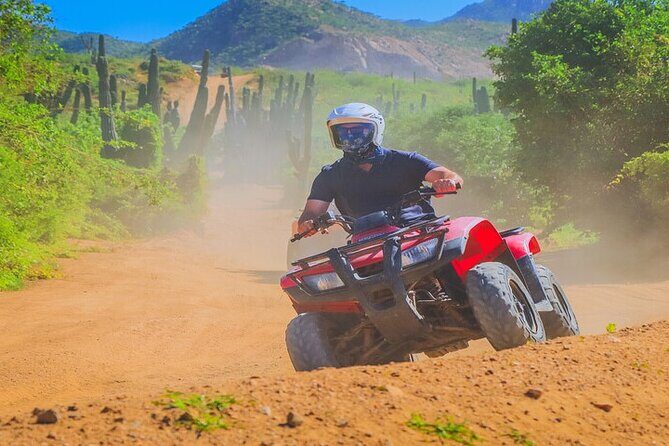 Camel Ride & ATV Combo in Migriño, Mexico - What Do Travelers Say?