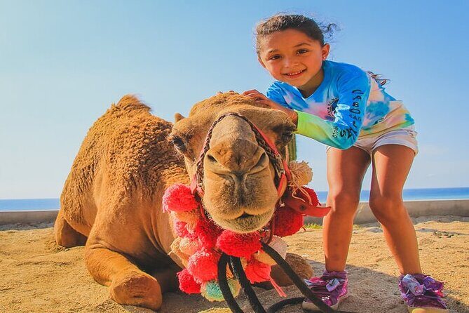 Camel Ride & ATV Combo in Migriño, Mexico - Why This Tour Works Well
