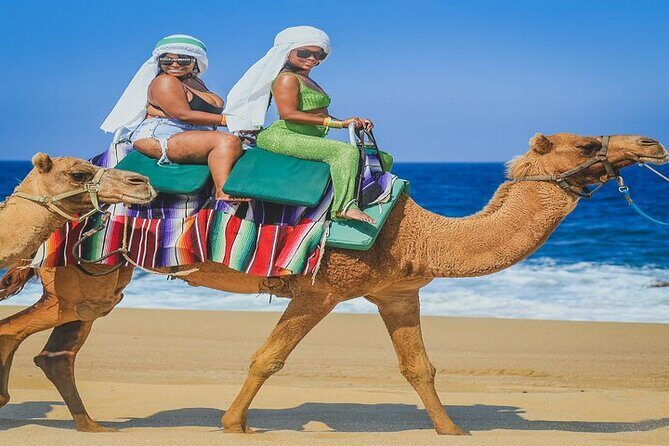 Camel Ride & ATV Combo in Migriño, Mexico - The Sum Up
