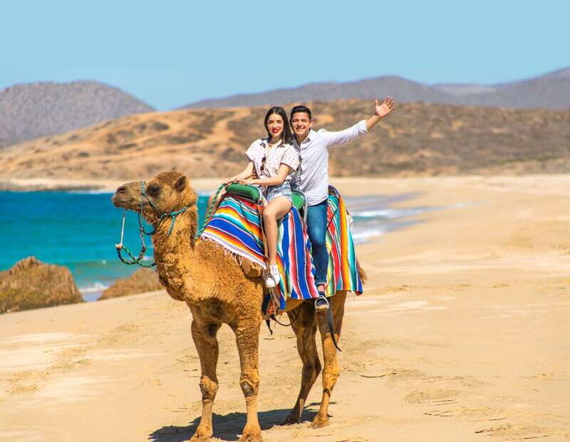 Camel Ride Beach and Desert Adventure. - Starting Out: Safety and Orientation