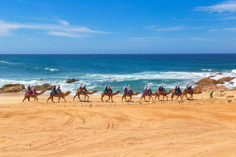 Camel Ride Beach and Desert Adventure. - The Tasting Experience: Tequila and Food