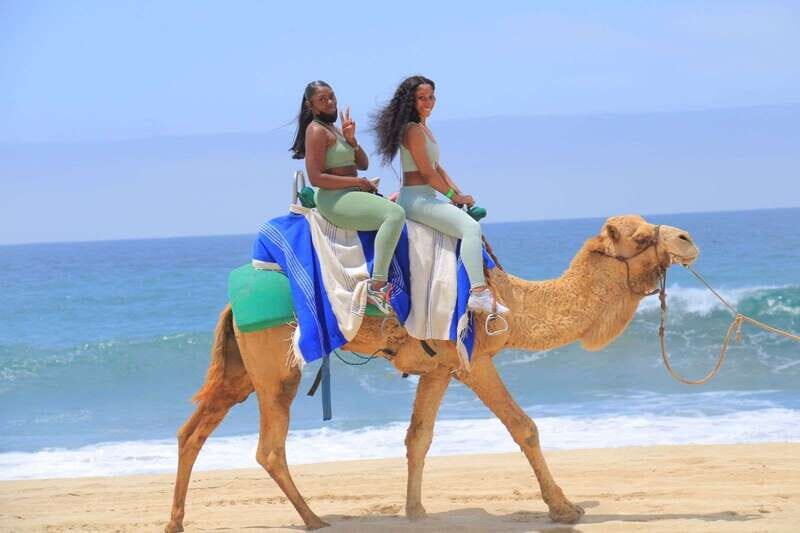 Camel Ride Beach and Desert Adventure. - Who Is This Tour Best For?