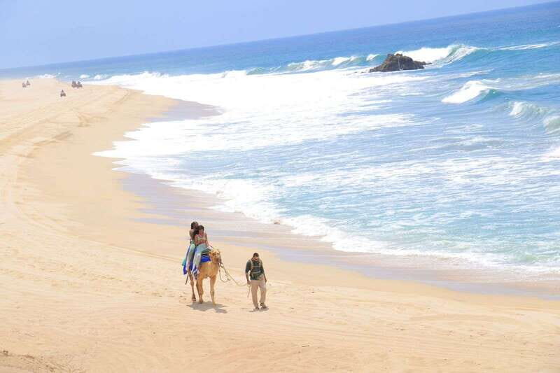 Camel Ride Beach and Desert Adventure. - The Value of a Well-Rounded Baja Day