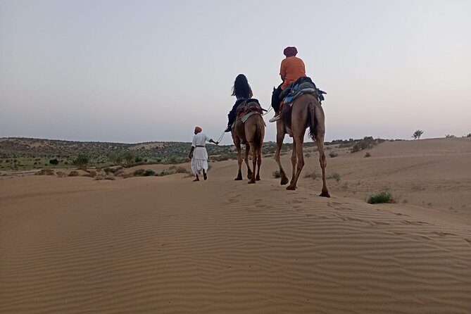 Camel Ride during Sunrise with breakfast - Authenticity and Value