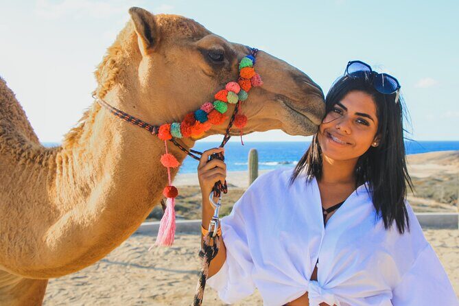 Camel Ride Experience in Los Cabos with Pick up and Lunch - What to Expect from This Camel Ride Adventure