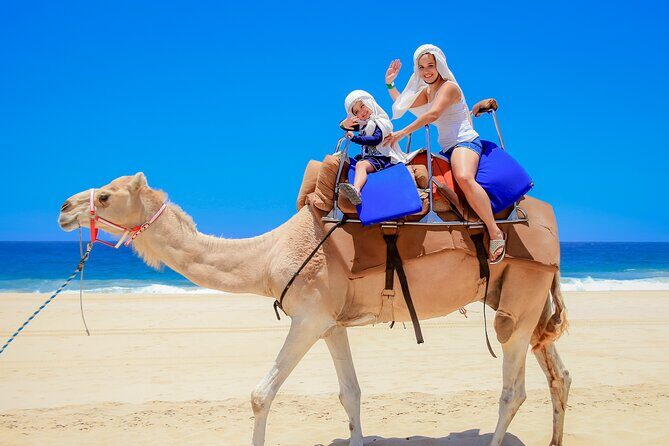 Camel Ride in Los Cabos with Buffet Food and Beer - An In-Depth Look at the Tour Experience