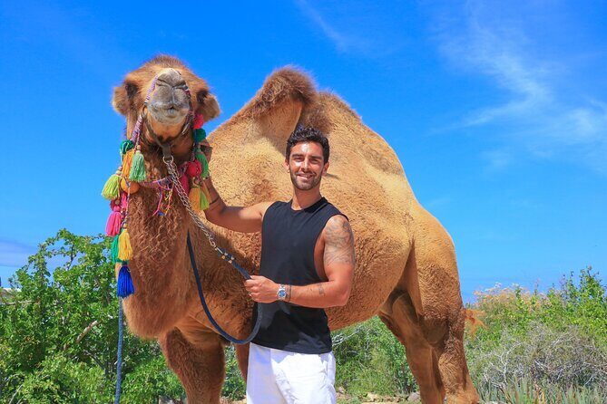 Camel Ride in Los Cabos with Buffet Food and Beer - FAQ