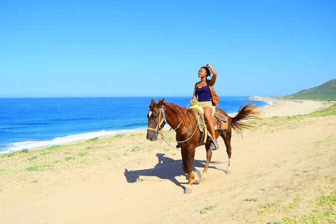 Camel Ride Tour in Los Cabos - What You Can Expect on the Tour