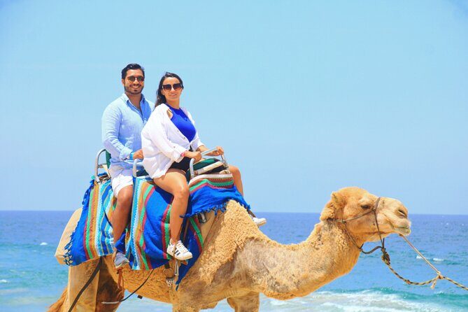 Camel riding experience on the shores of the Pacific Ocean - FAQs