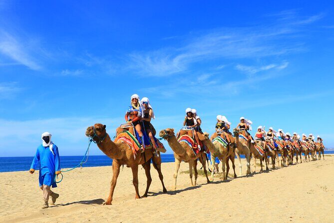 Camel riding experience on the shores of the Pacific Ocean - Final Thoughts