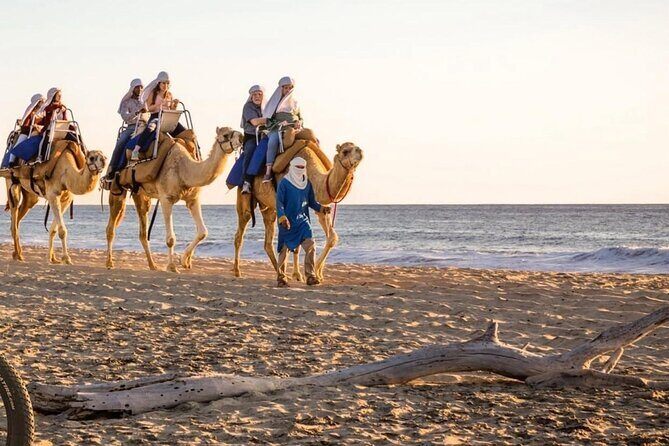 Camel Safari and Gastronomic Experience in Los Cabos - Practical Details