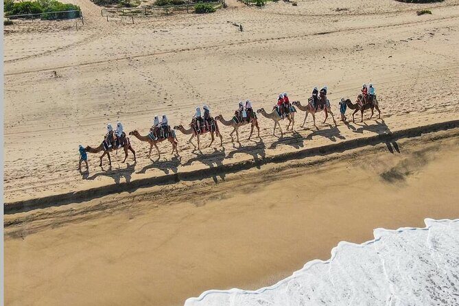 Camel Safari and Gastronomic Experience in Los Cabos - Final Words