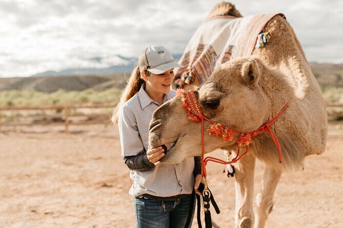 Camel Safari - Camel Ride and Zoo Tour - Who Should Consider This Tour?