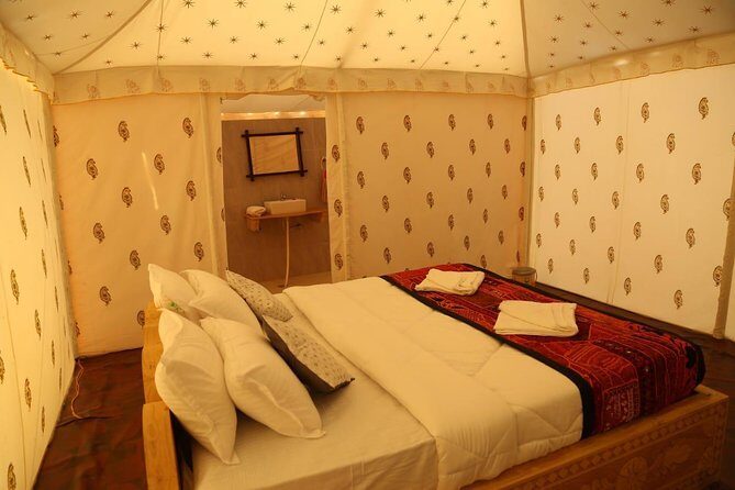 Camel Safari - Exploring the Experience in Detail