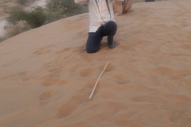 Camel Safari Experience With Locals - The Itinerary: What You Can Expect