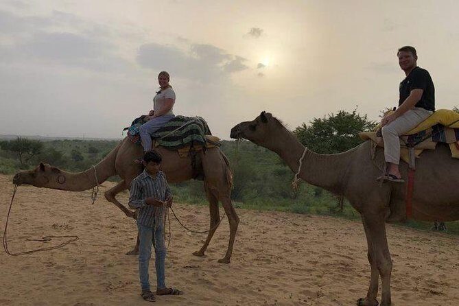 Camel Safari Half -Day Tour In Jaisalmer - Key Points