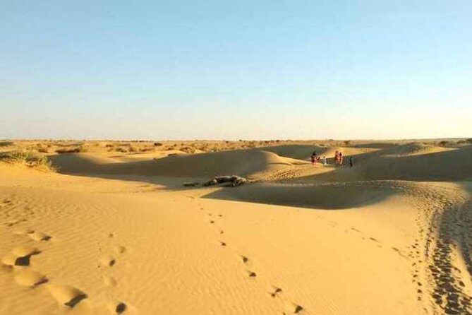 Camel Safari Half -Day Tour In Jaisalmer - Why Consider the Camel Safari Half-Day Tour?