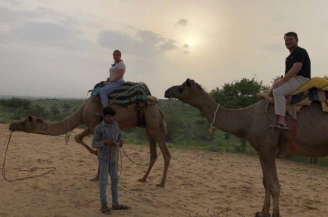 Camel Safari Half -Day Tour In Jaisalmer - The Practical Side: What to Know