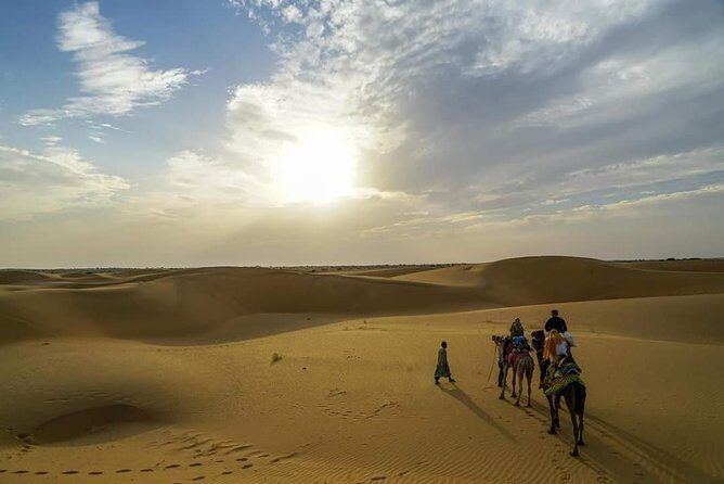 Camel safari in thar desert - Practical Tips for Travelers